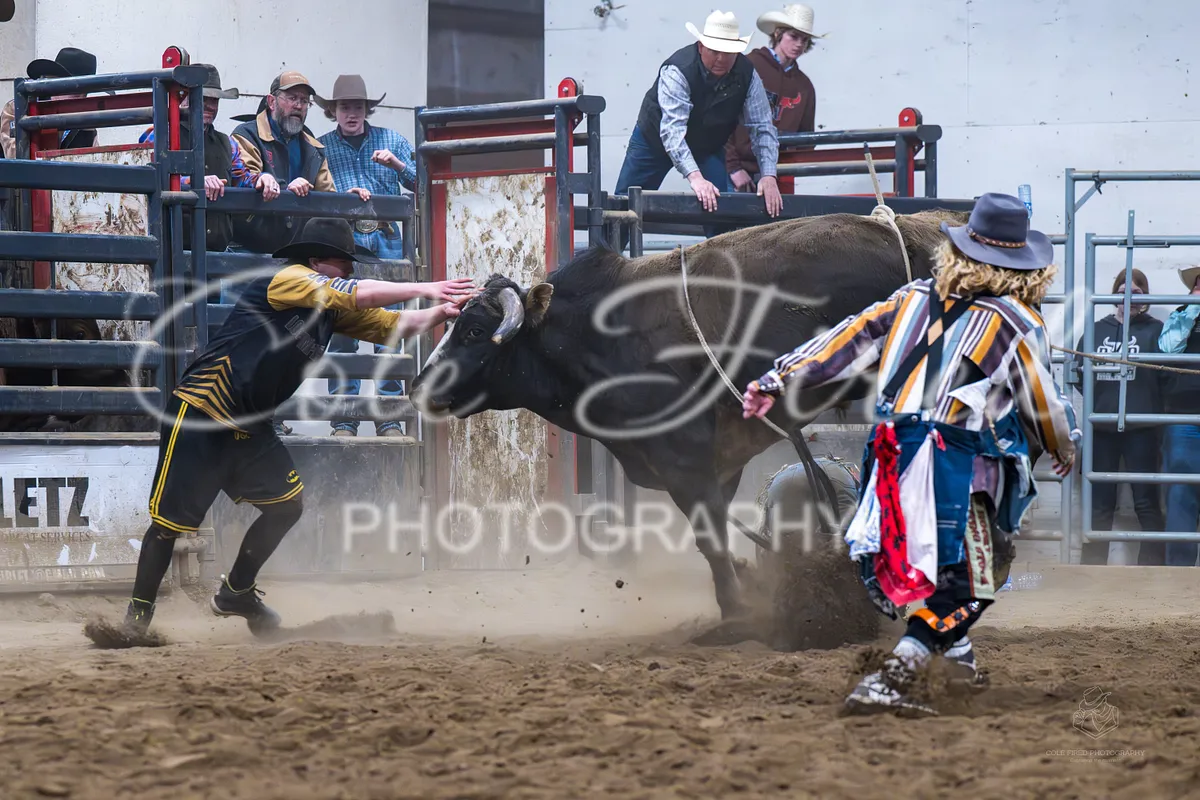 Jr Bull Riding Round 2 Image 2vxNJm8o33nCzfQLuXpR4P