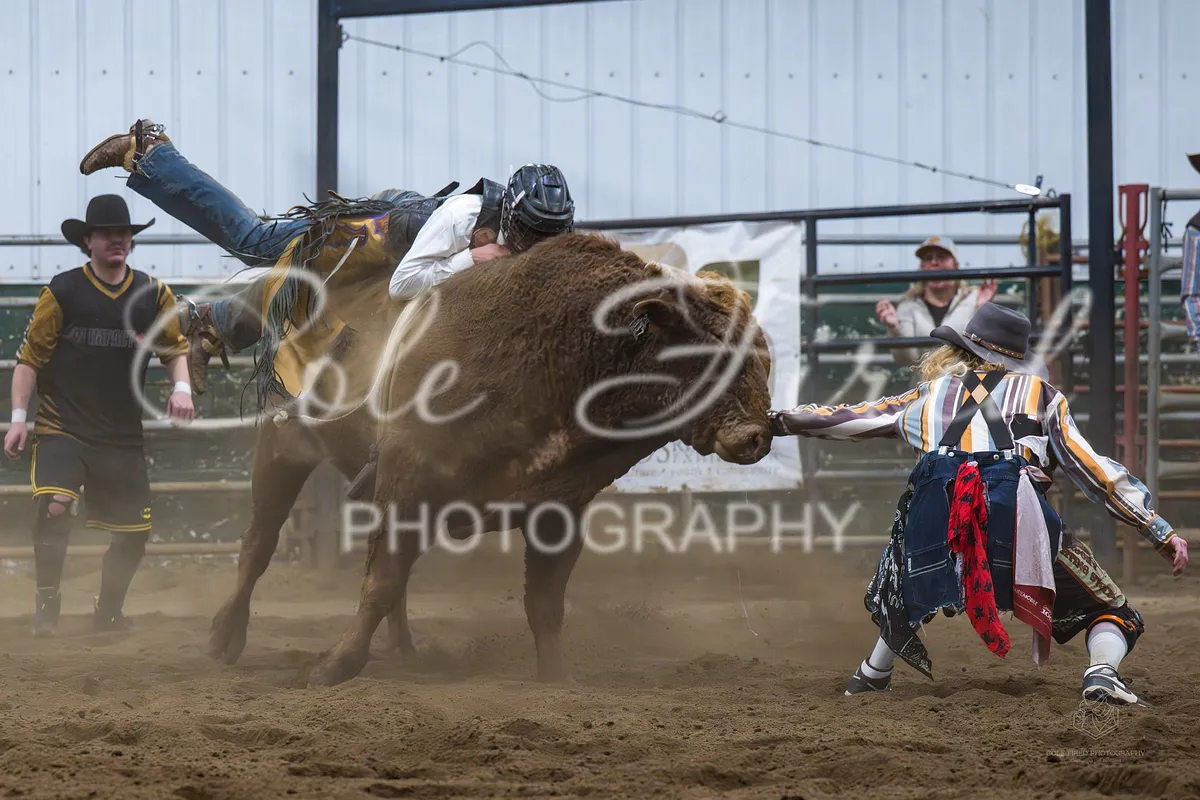 Jr Bull Riding Round 1 Image 2wZ832e31YvoCXoV5eXiDn