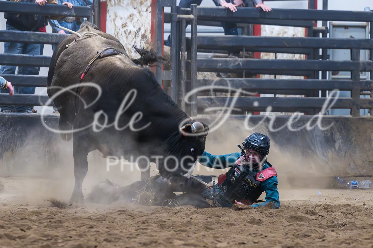 Jr Bull Riding Round 2 Image 71fZetZLRf5cmDvLZmk9uC