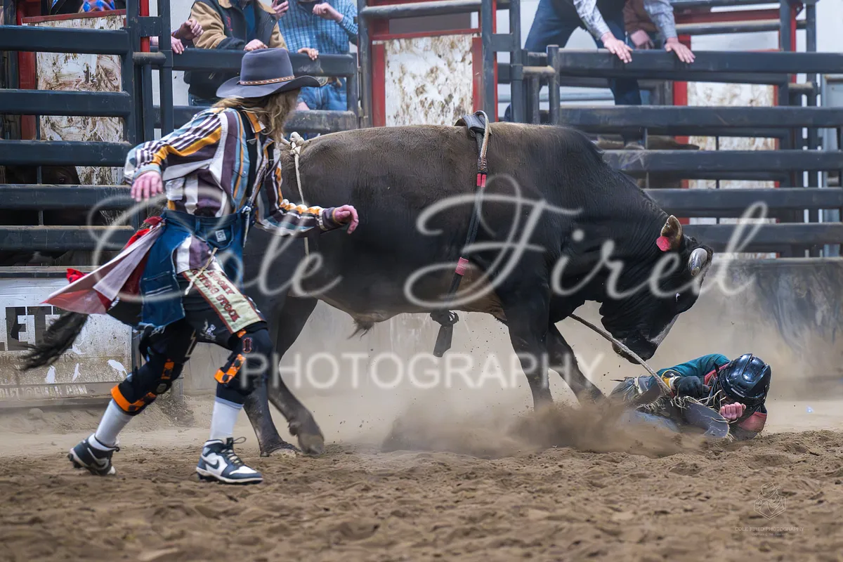 Jr Bull Riding Round 2 Image CwNAiVLWMNcG1C3QFD4hGc