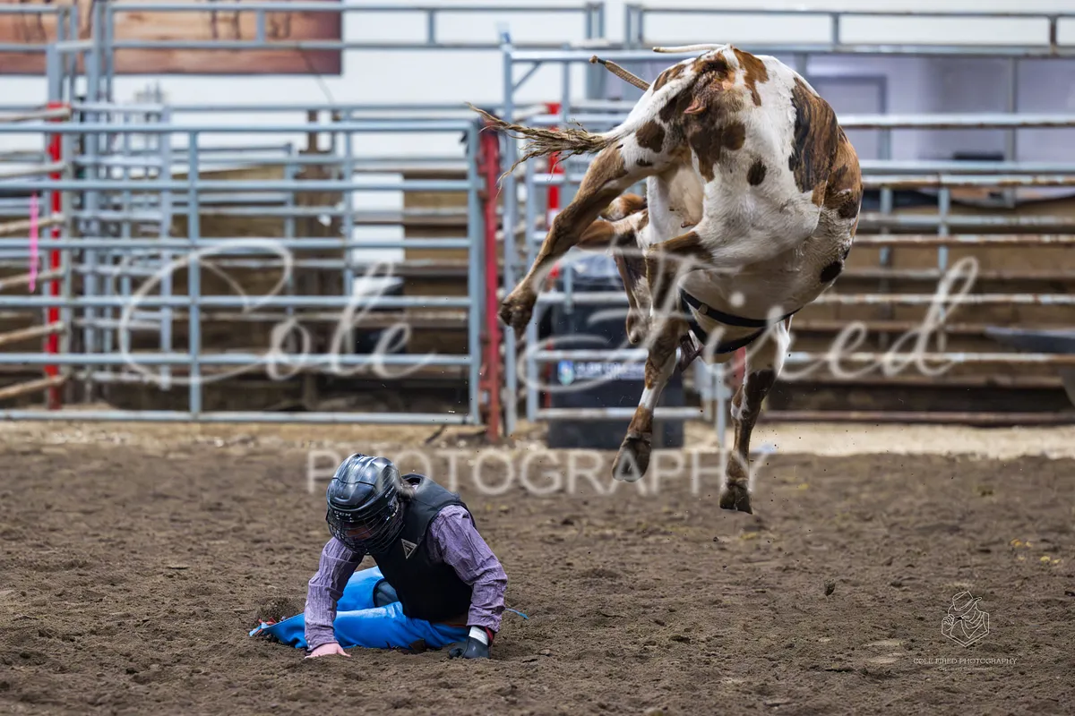 12-14 Jr Steer Riding Image FChPhcaCmEVq22FYQx6zFM