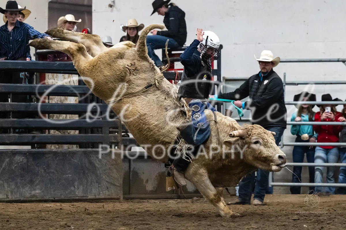 Jr Bull Riding Image J3nAtqa9fKCQU2vChAe9Vd