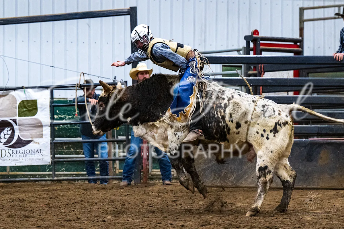 Jr Bull Riding Image JPkWWujPCdYobd1HQFwrN8