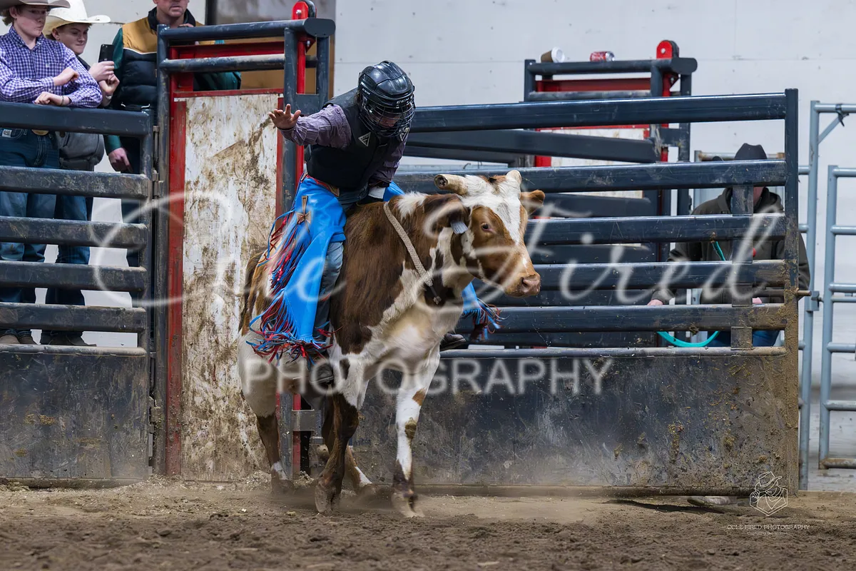 12-14 Jr Steer Riding Image MR7ih9ZyeFM4qFRA11W3Jp