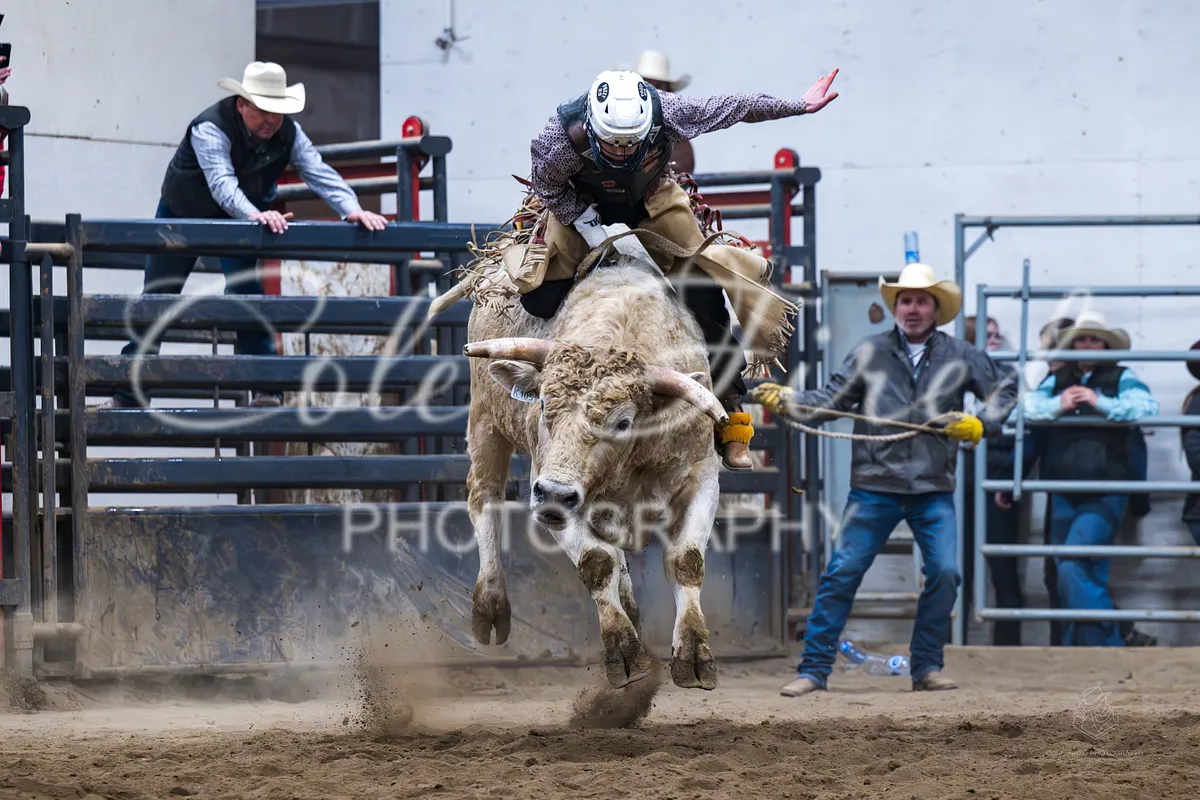 Jr Bull Riding Round 2 Image Pt4s6DCgctGNNZaLFAuHR6