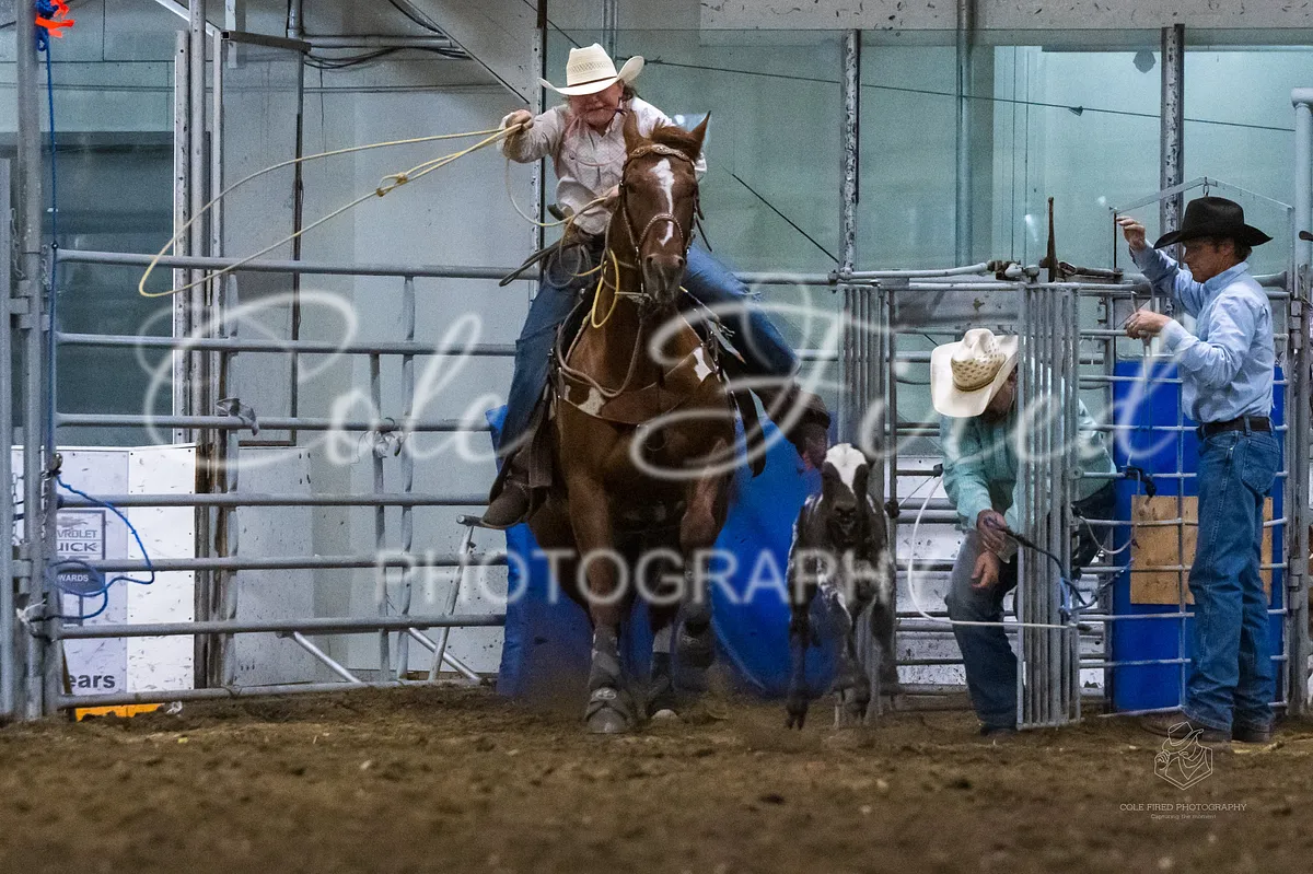 Tie Down Roping Image S198MnX9XVbiMV29x4wvgx