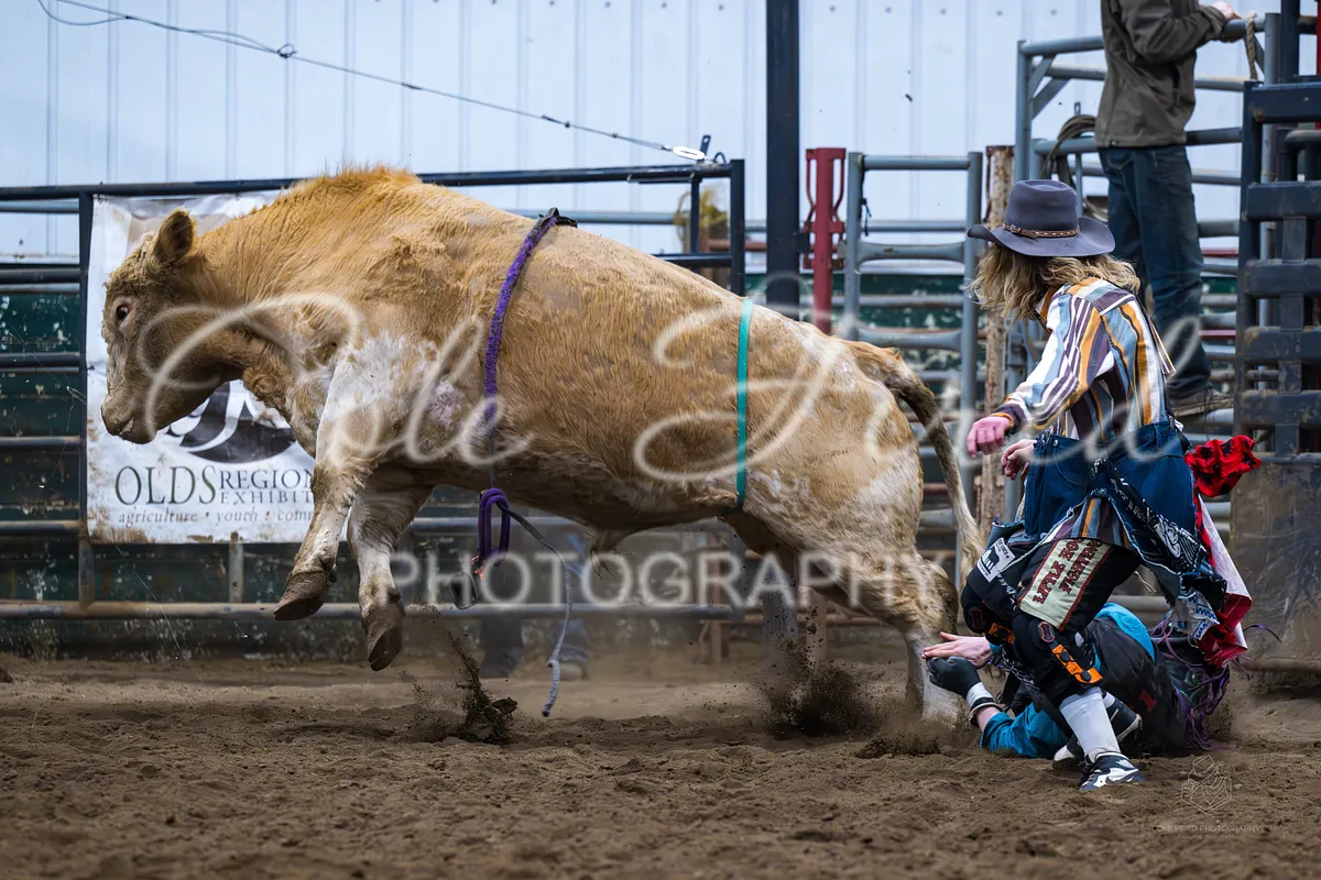 Jr Bull Riding Round 2 Image TALuZVT4xuaETXucQcMFMA
