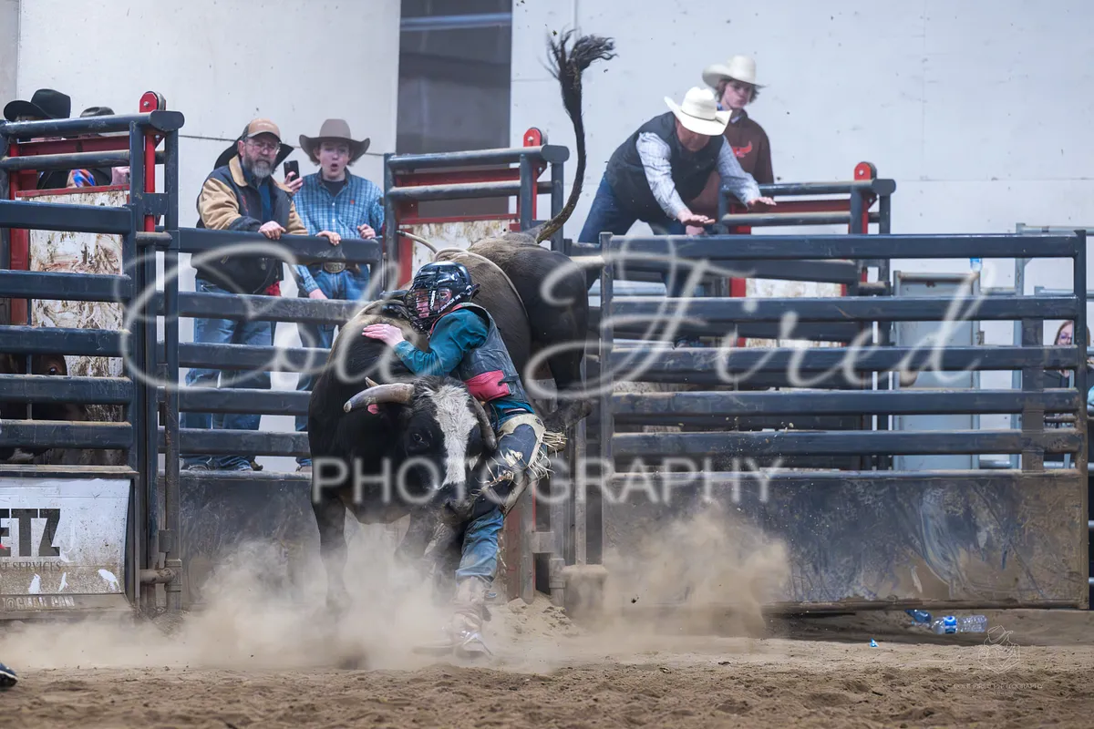 Jr Bull Riding Round 2 Image TvzC5tBRirKkqoiByfoCFs