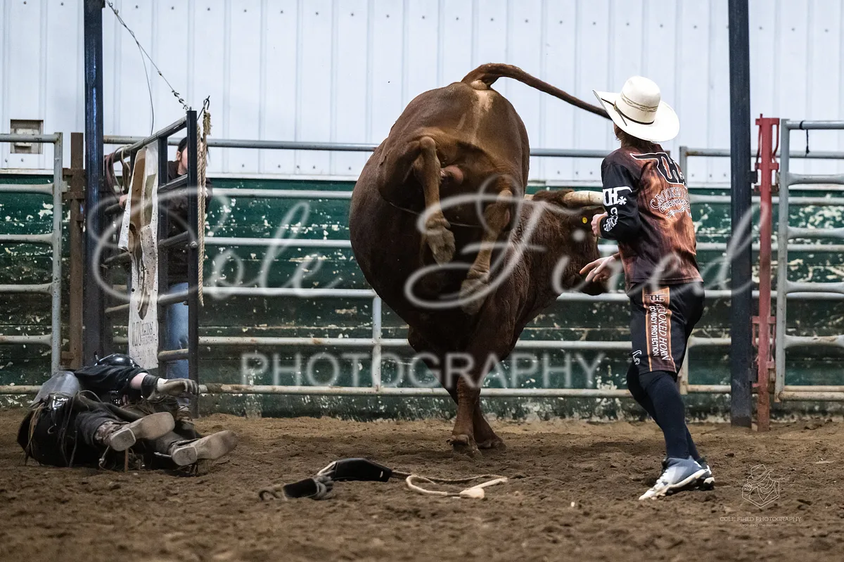 Jr Bull Riding Image ULj9z2doWbqi61J9UN9tBA