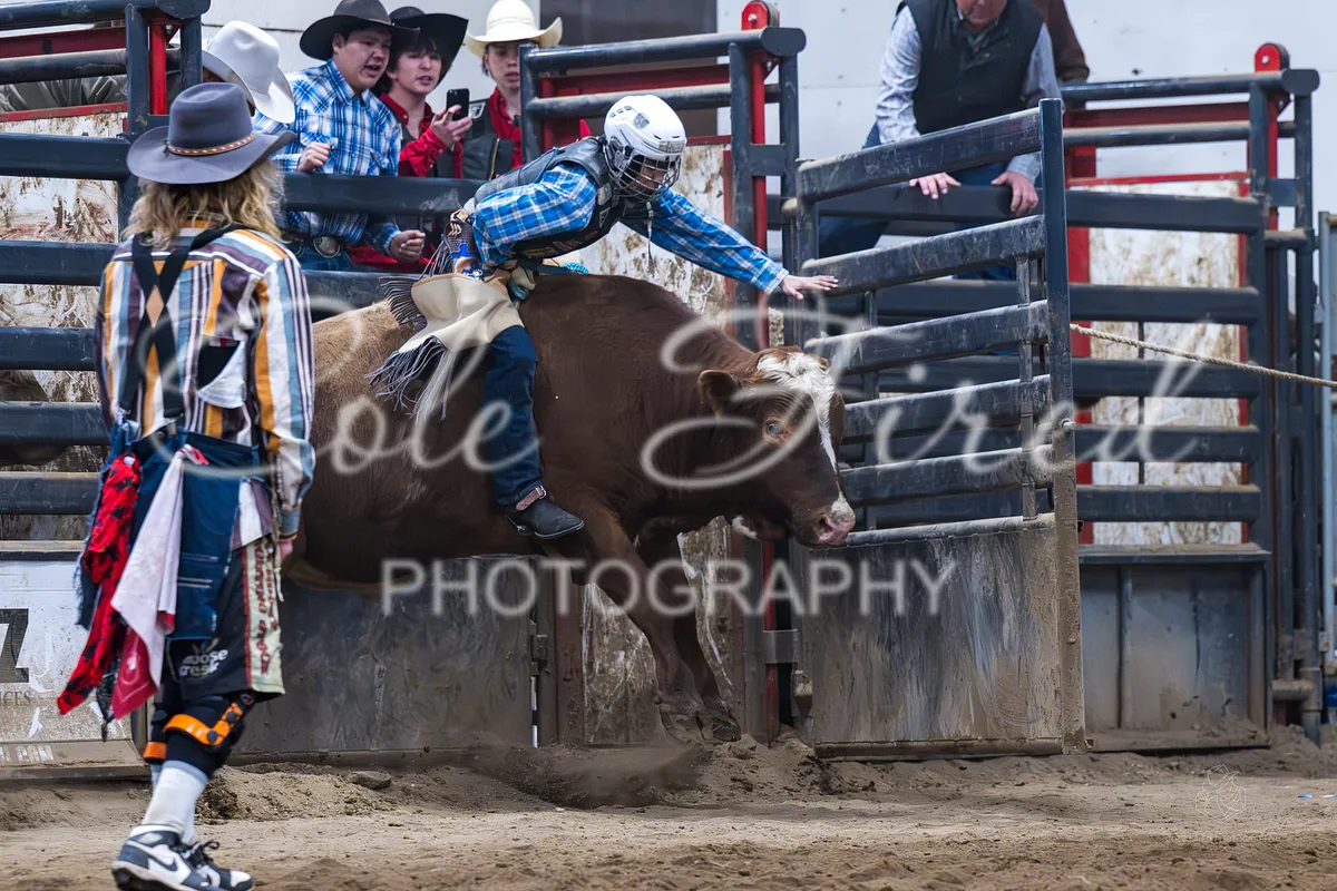 Jr Bull Riding Round 2 Image WwMbMPmmwW71o7rE5uYTy6