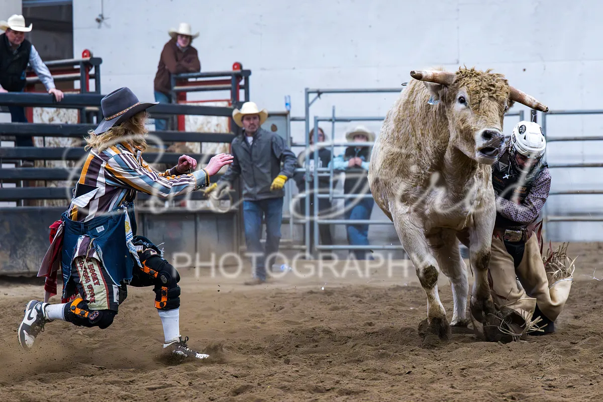 Jr Bull Riding Round 2 Image Y9fpbNAussgTT2pq52hwHs