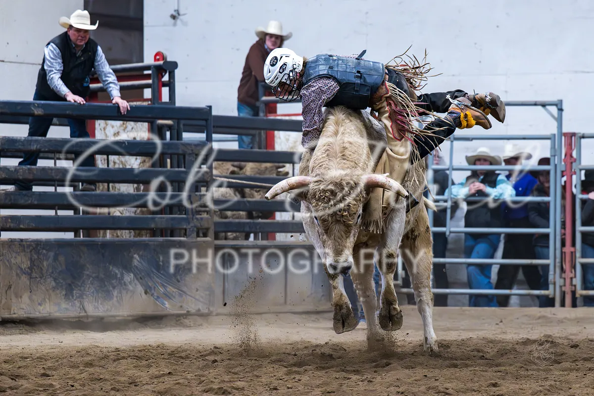 Jr Bull Riding Round 2 Image YFfGLvGqxcEU3qa66rf2Bt