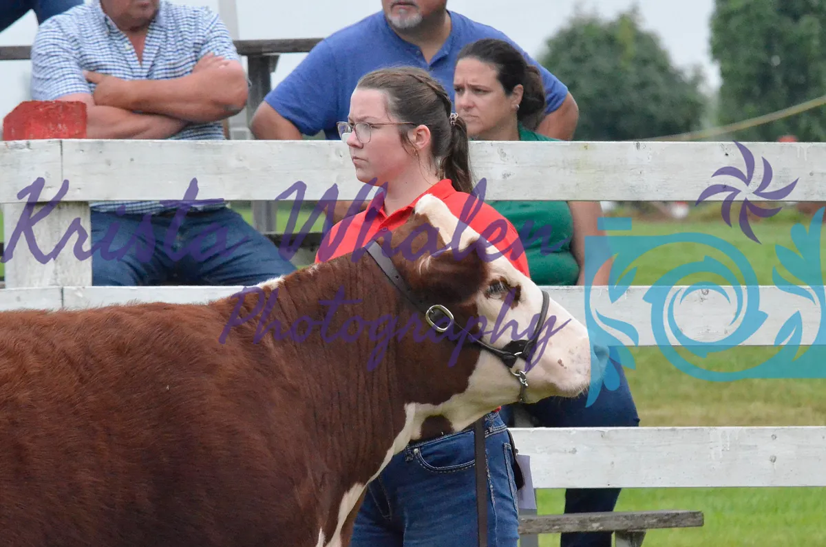 Day 3 - Showmanship & Individual Grooming winners Image ...