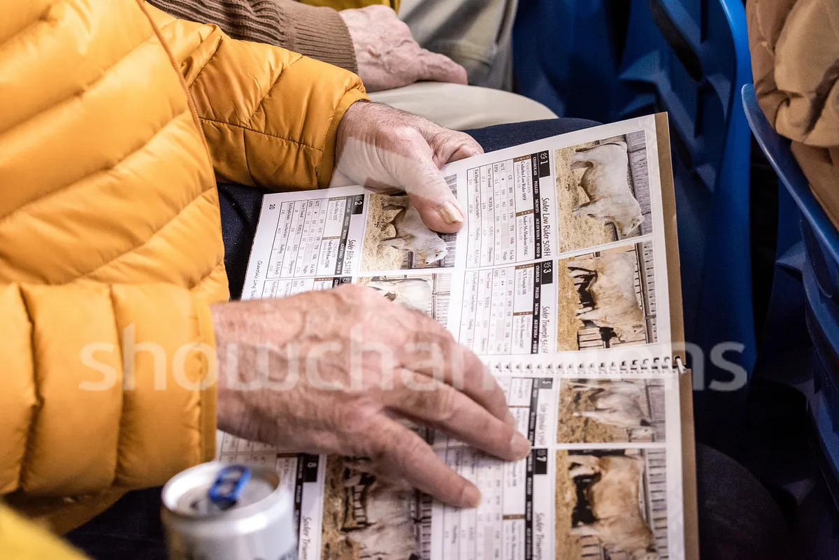 Soderglen Ranches Sale Image 16FDGJyyTLk7DHurduUPd1