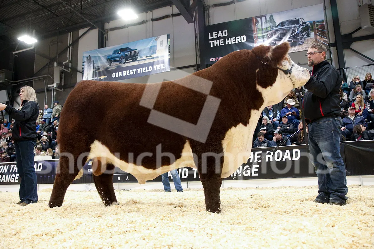 Hot Shots Image 2HSmATzX22tzDuVgYHrc3y