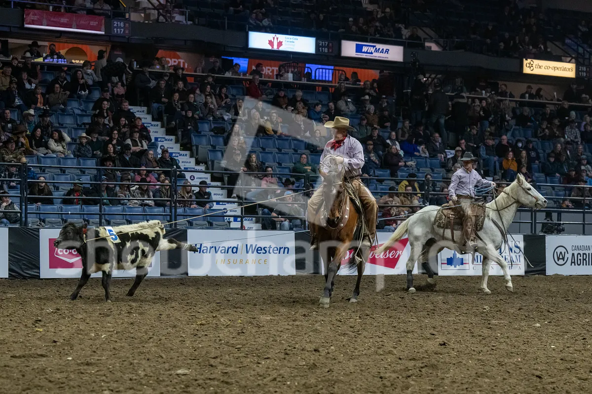 Stray Gathering Image 3QmSLCE9aysdPHRDRhWngL