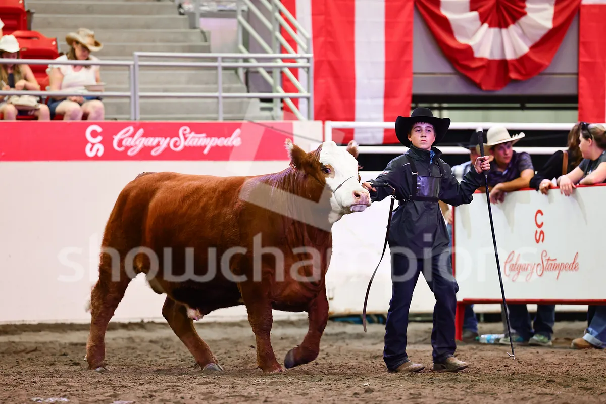 Hot Shots Image 4Dk4G4vqBhf6ct9bpGSda2