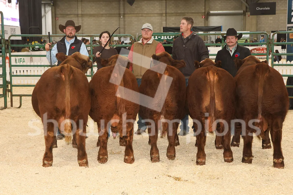 Bull Pen Show Image 4SmCX9NY3ZsT5GFiRCCE4L