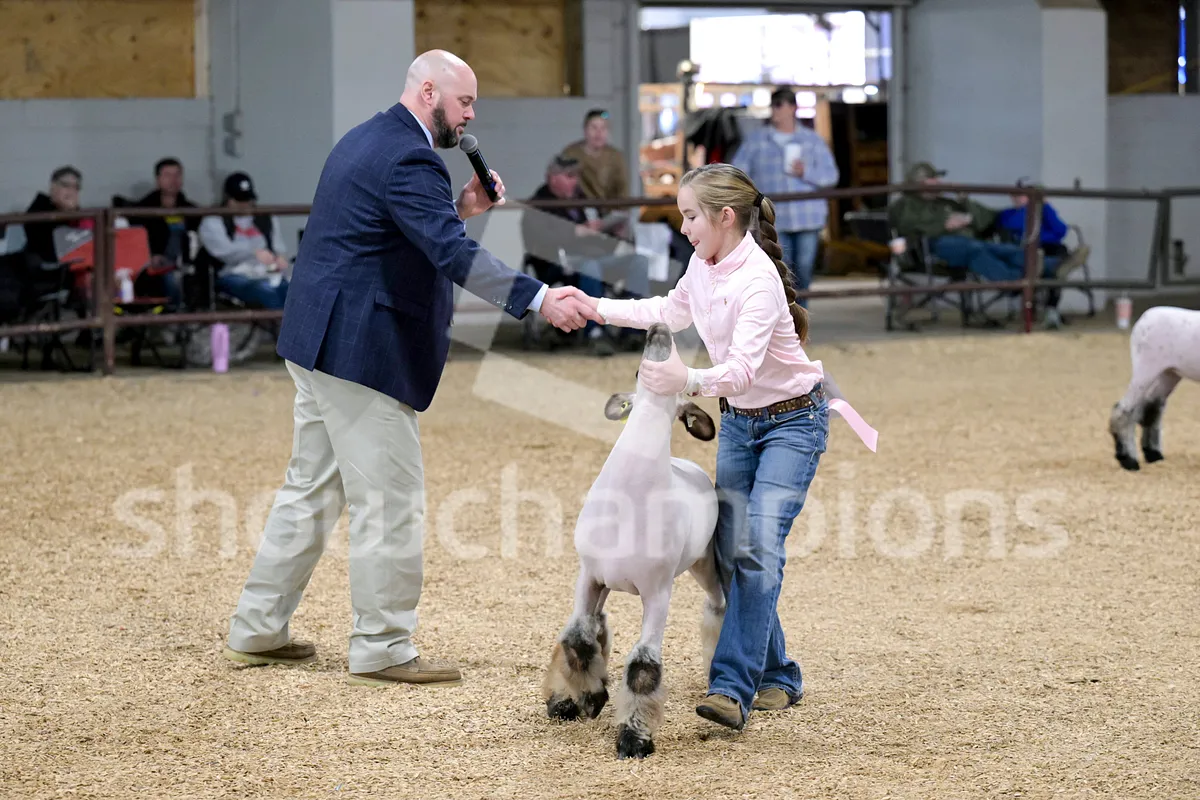 Wether Dam Show Image 6MhNXiV3tWr4D1ENbMtmSG