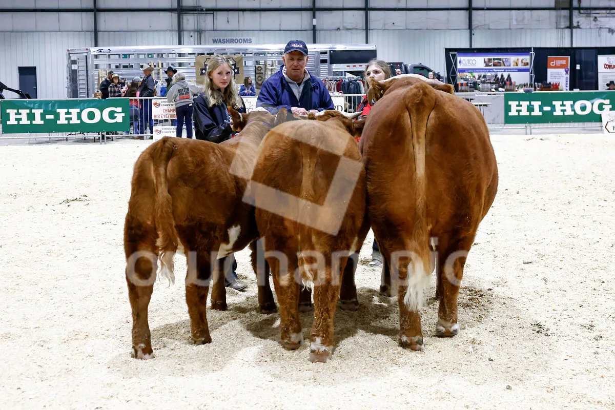 Bulls Image 6mhp86yrqKZ3yuQrWspjsw