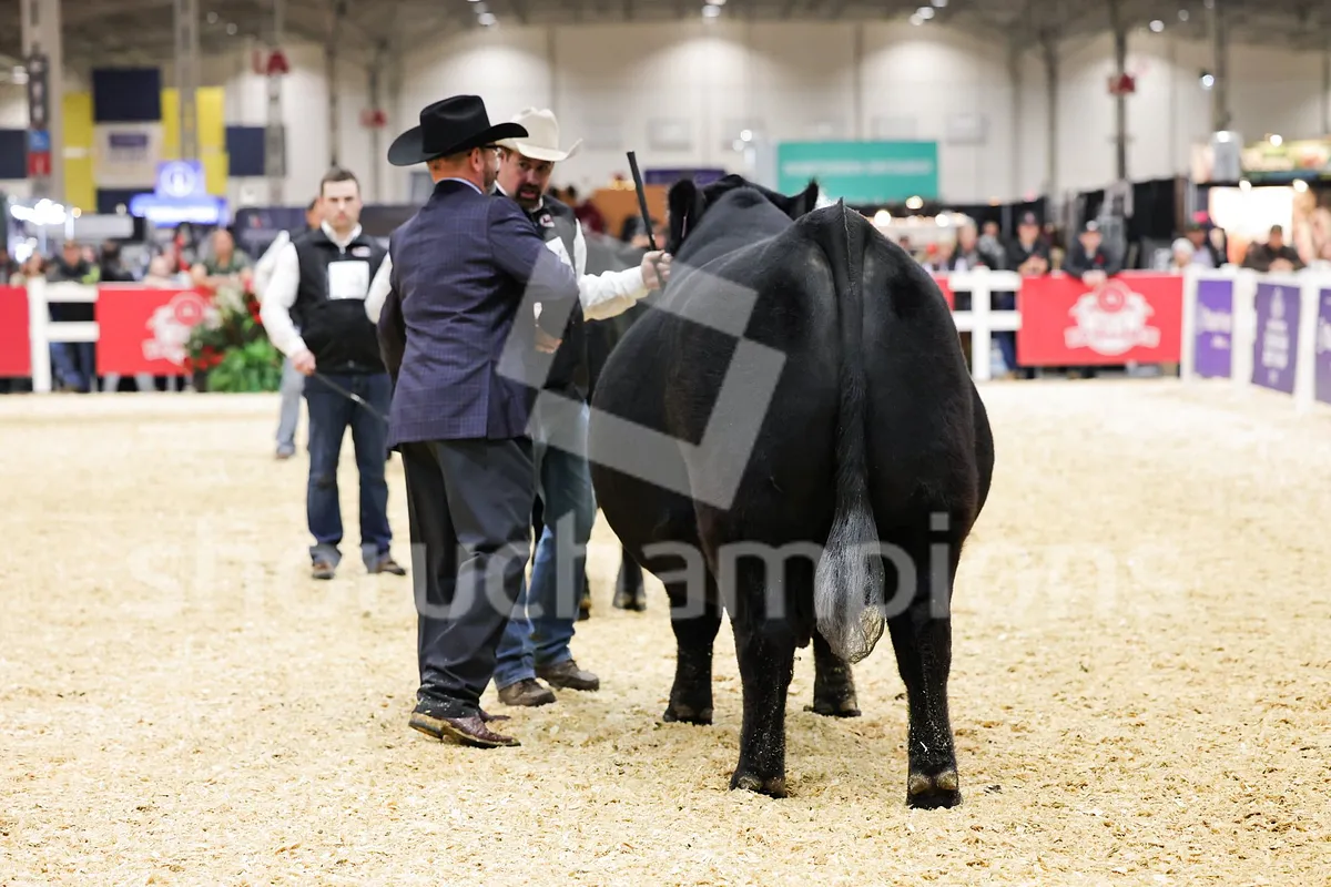 Hot Shots Image 6n4TPhQTJ4RxiVM5WpNSjY