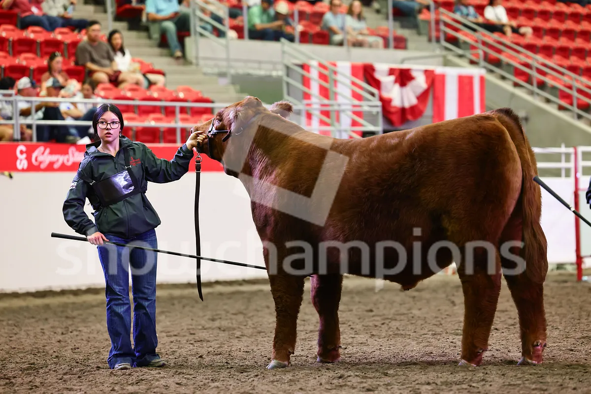 Hot Shots Image 7E4F4nRHMmgXnARRY6LxcB