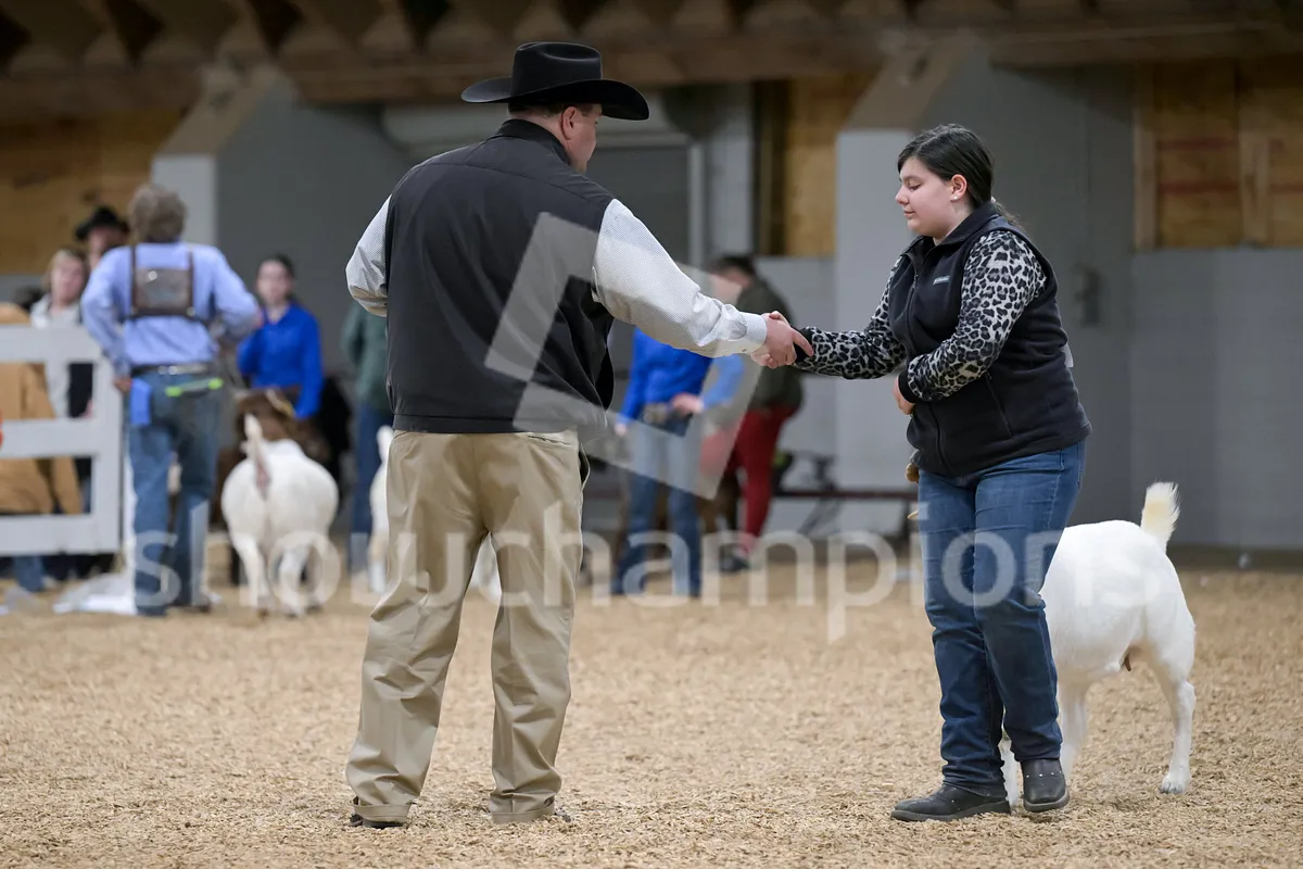 Breeding Boer Doe Show Image 9y5ZDDzU8ZARiSypY31oPM