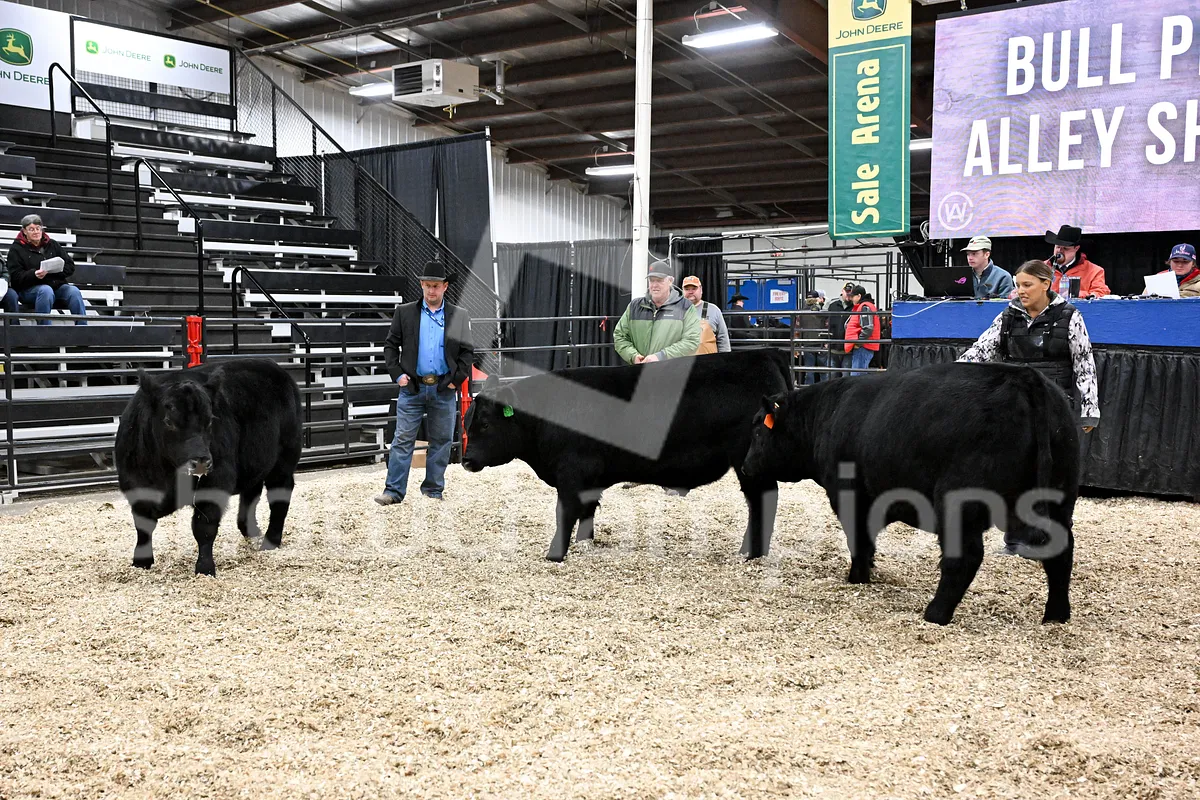 Bull Pen Alley Show Image AHQv36bxx8bZb7FzMdBEc1