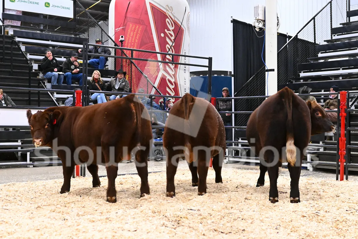 Bull Pen Alley Show Image Bpgd8G4nFkFzqWFejUfFBf