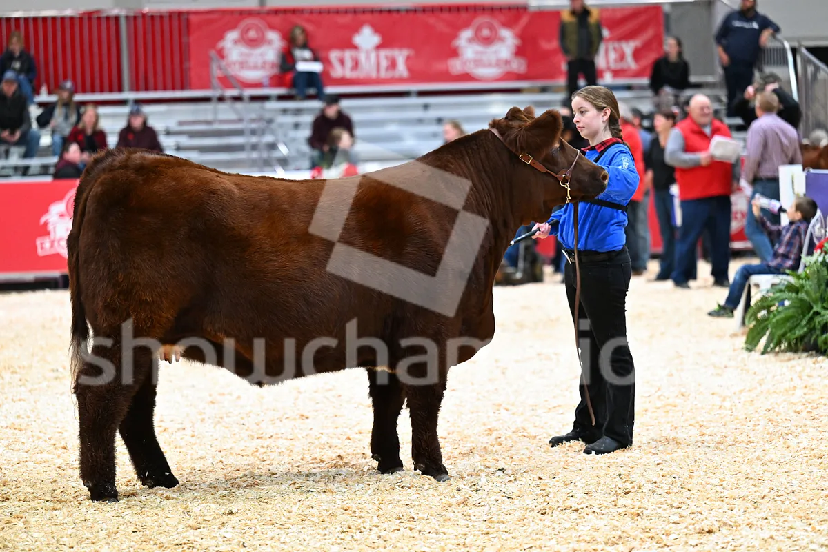 Hot Shots Image DKrRZJ3ythvwYpR8KmKNMu