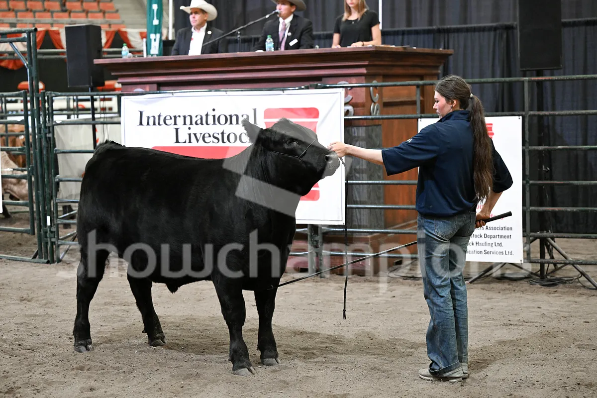 International Livestock Auctioneer Championships Image ...