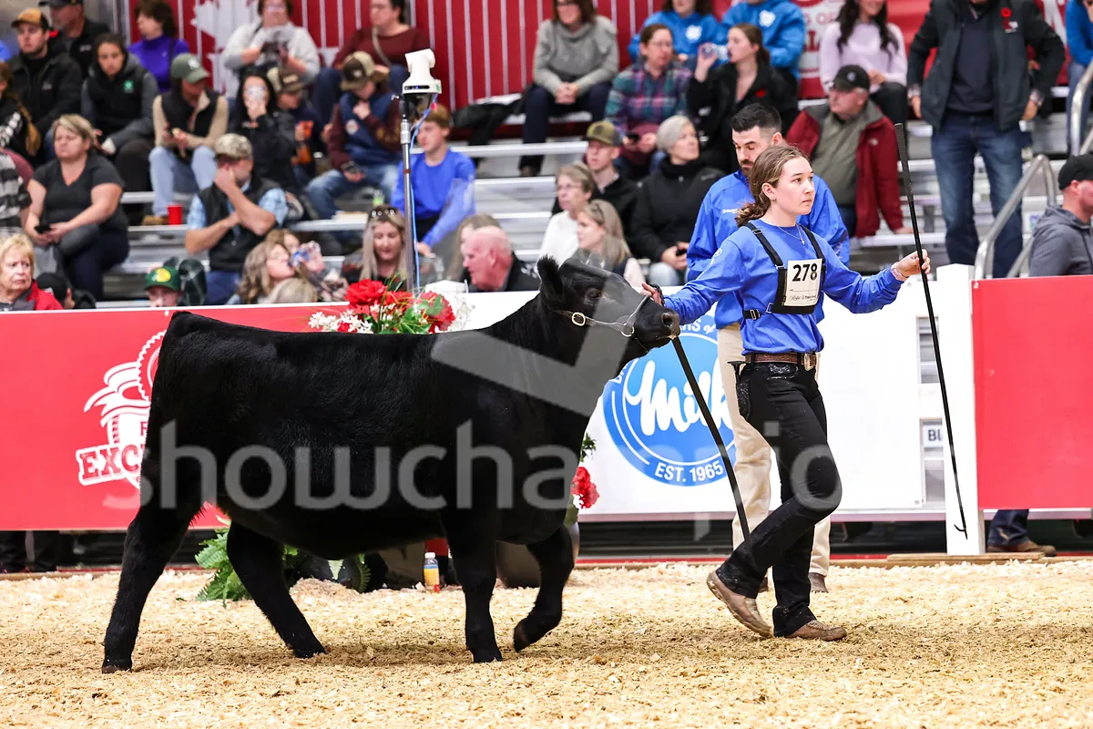 Hot Shots Image Eiazvh9XidhKWVvYFVrBRP