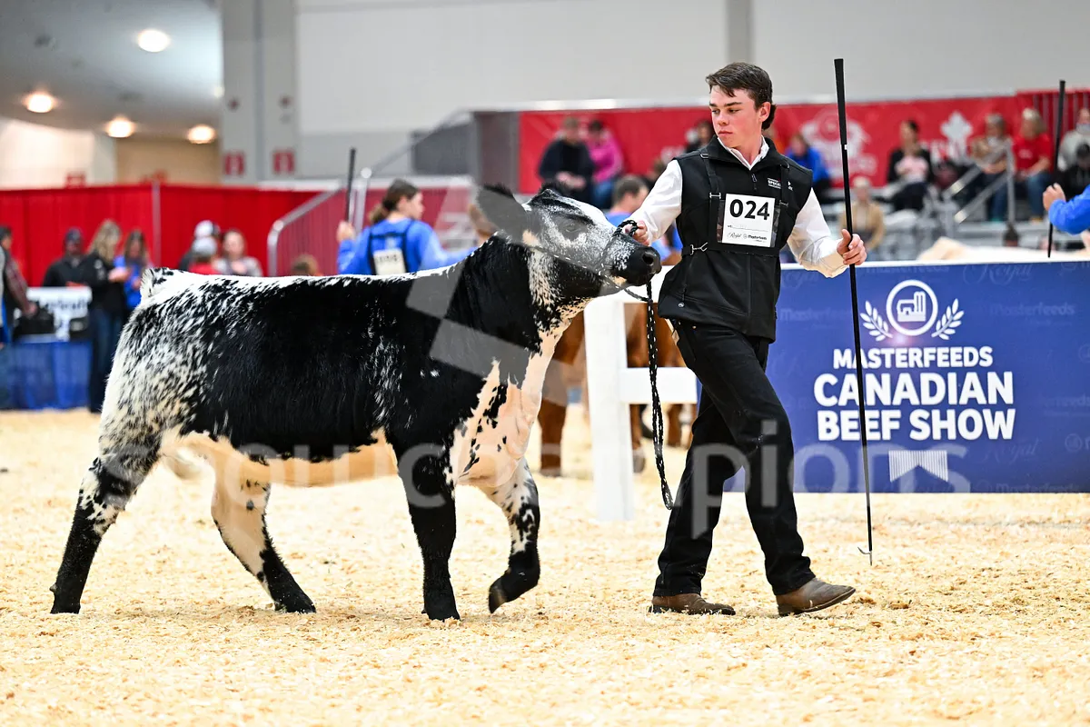 Hot Shots Image F3qyKaPYUDrhgkgvwGQZ74