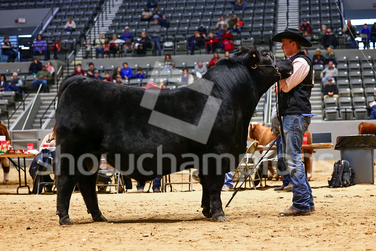 Ring 2 Image FRB722eHG9s7cRF9xxRupt