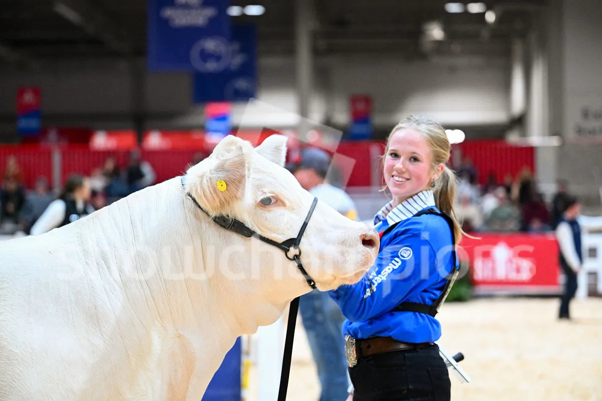 Showmanship Image HnRi9WXATG33w8fRhG81MA