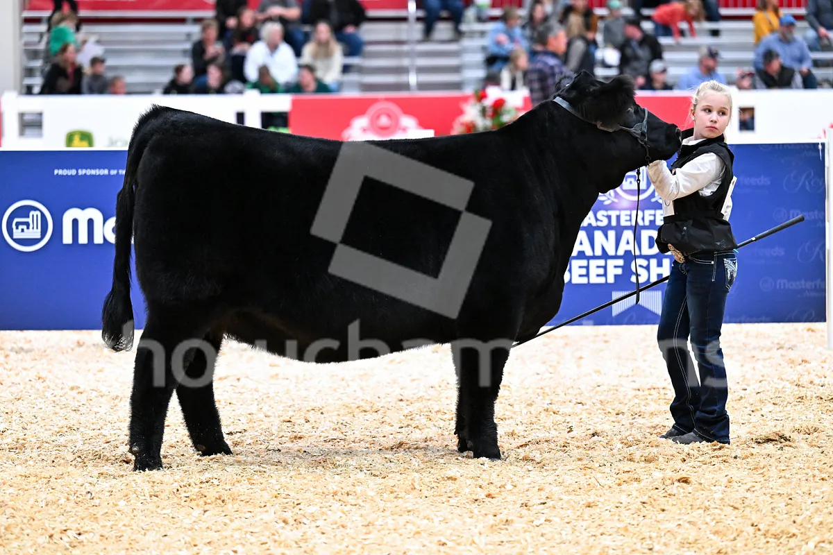 Hot Shots Image MbjudYFjPA9cYgfLStpn2a