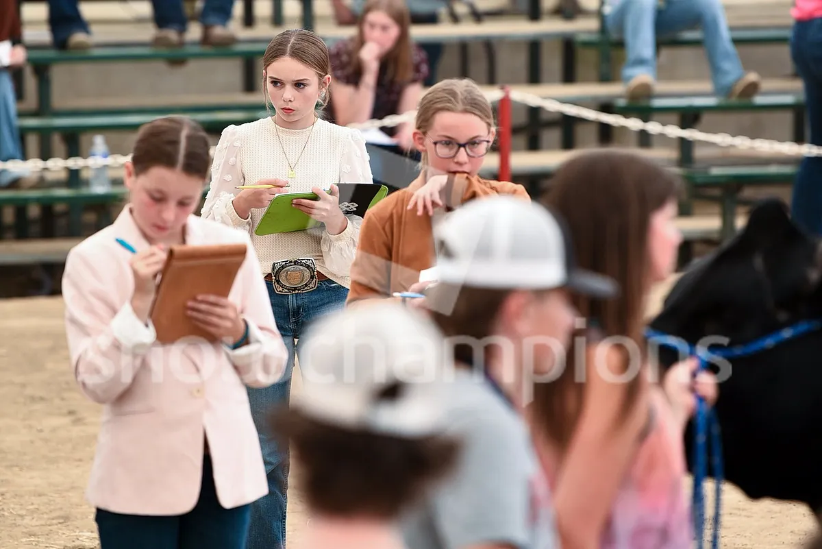 Judging Competition Image MceZfnp54K5K1f1j22AxMY