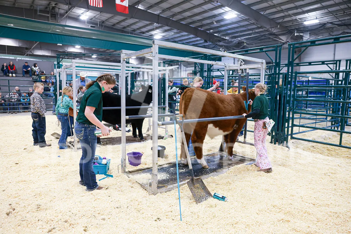 Team Grooming Image QBUpsFsh7UdpesjSMsqL6G