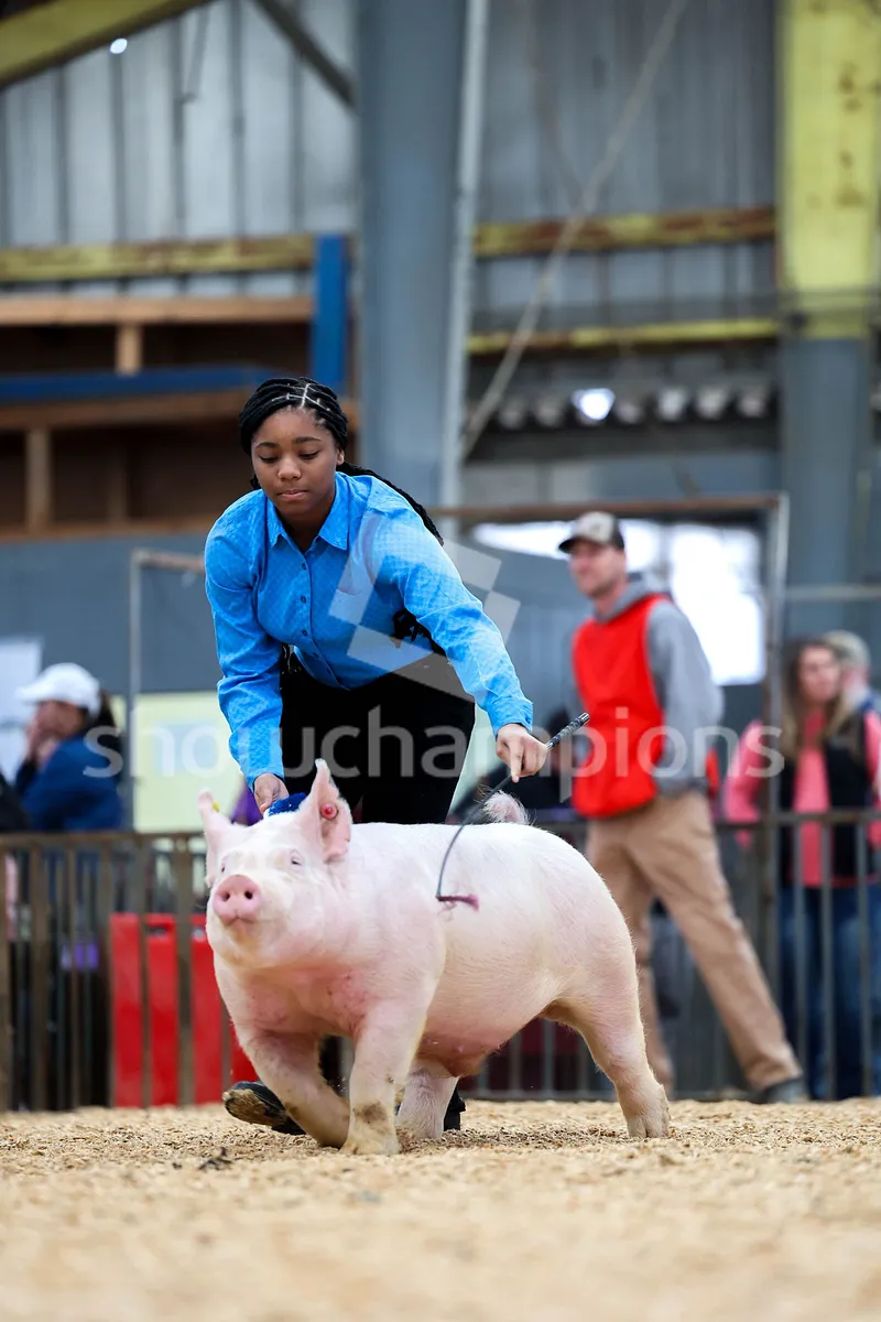 Yorkshire Image RSBtEEt3ApP2rEJ6wWcp4y