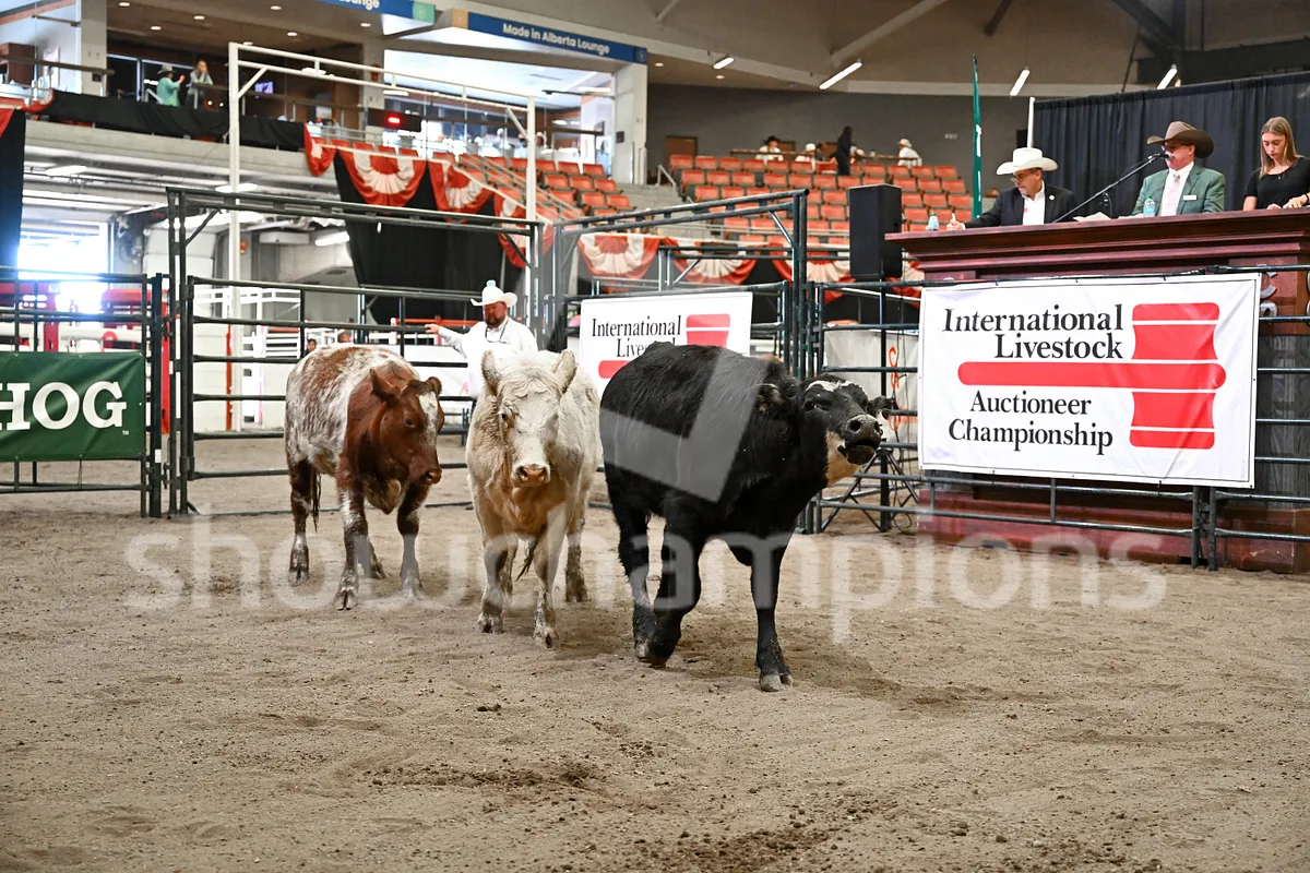 International Livestock Auctioneer Championships Image ...