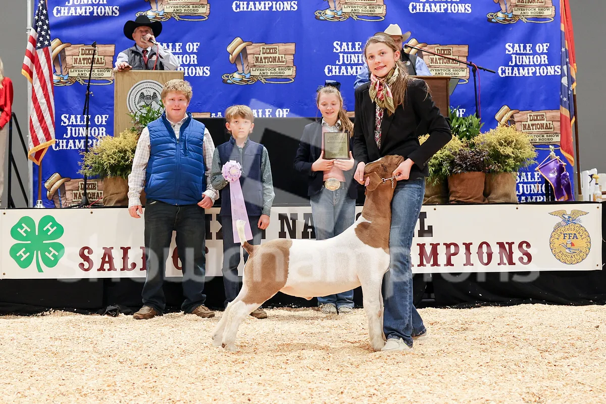 Hot Shots Image SwXmKP9jDFjf89qPR7wznD