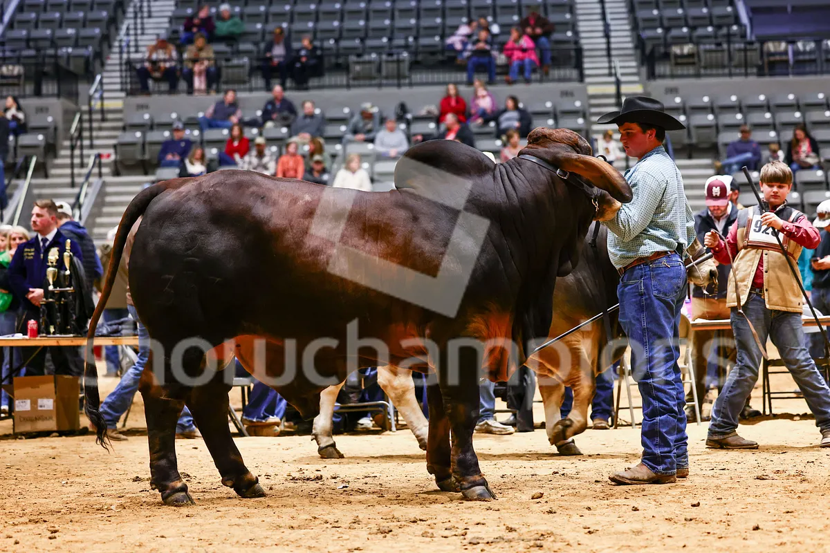 Ring 2 Image UESexNZbEq4Cyw8wjZAXEG