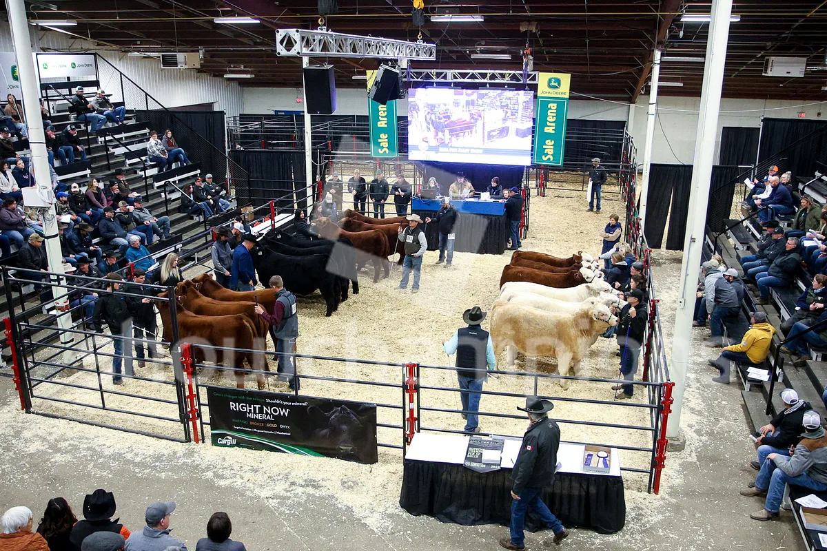 Bull Pen Alley Show Image Vkw9CDa2m2yiDuQgBz6XwU