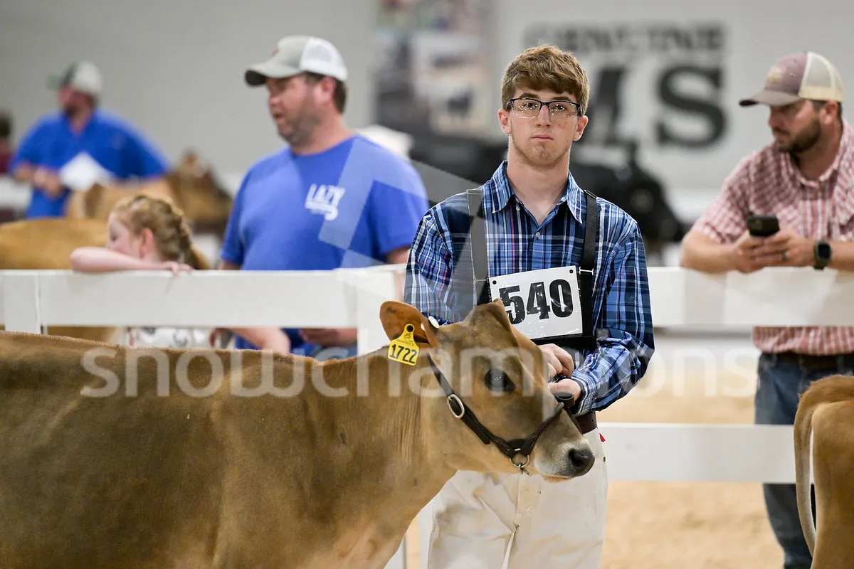 Open Dairy Show Image WrSSNsbjeN4opfP1BqKxj3
