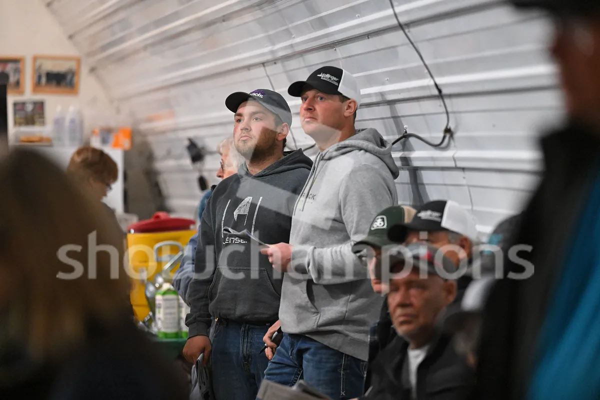 Crescent Creek Angus Bull & Female Sale Image WuPv6fzdFwhivSxyBcu2vj