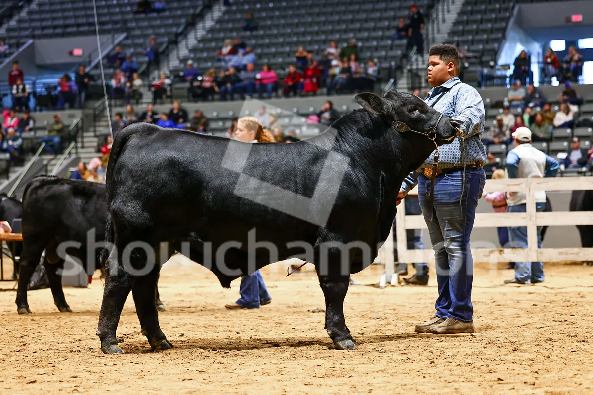 Ring 2 Image XjoiBz4ABWKQeWHLPymtdW