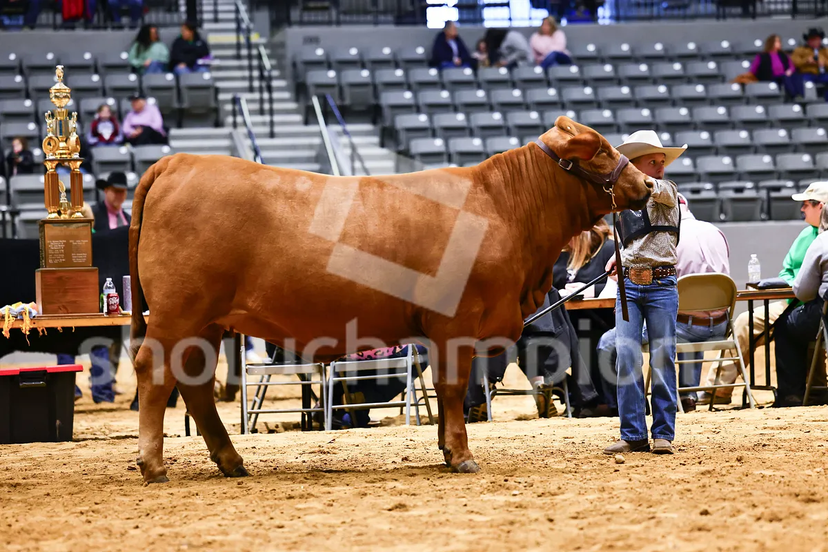 Ring 2 Image XwNLCYBbNL7KdRgtMcTmQi