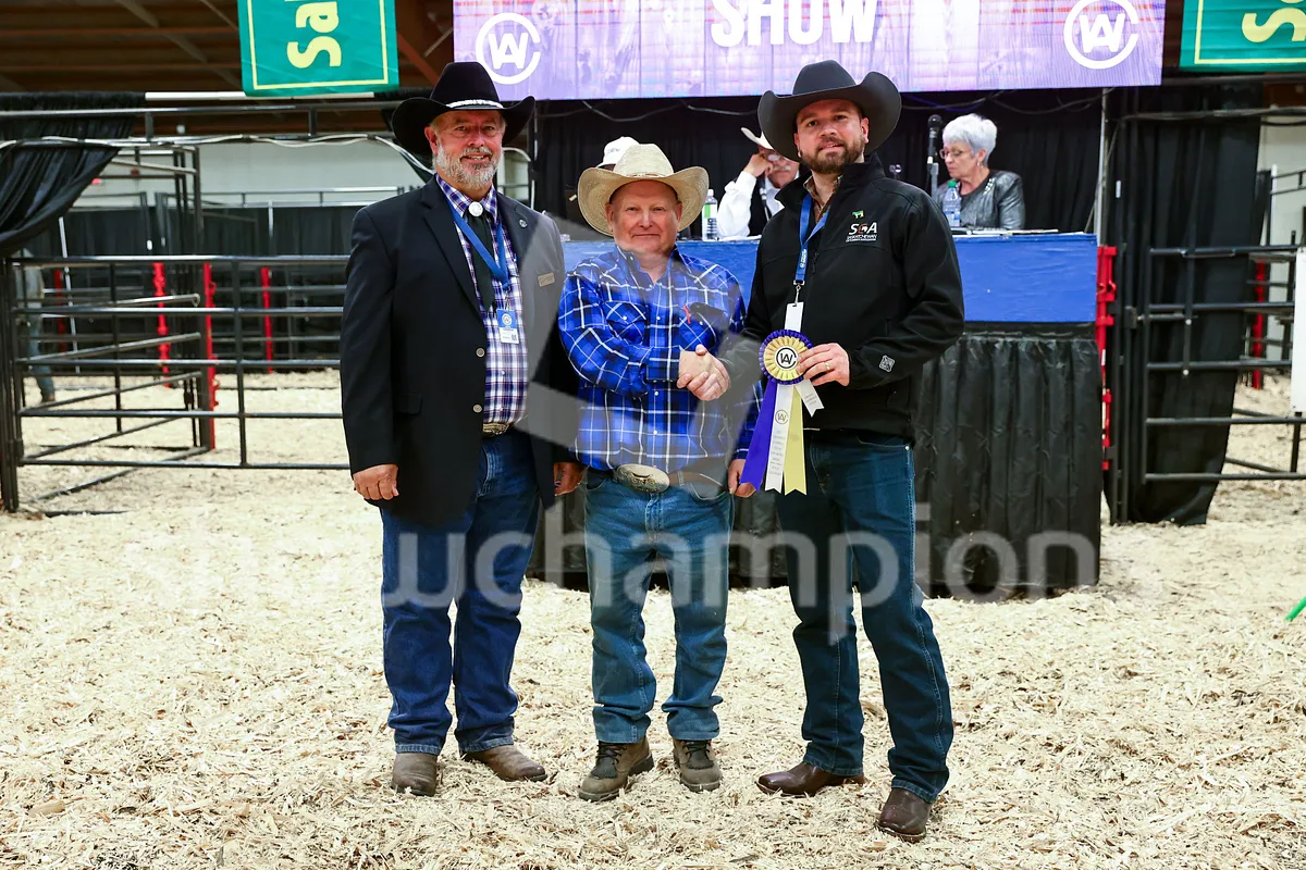 National Texas Longhorn Show Image YNvsqjfmSWrq2XmRyz2BN4